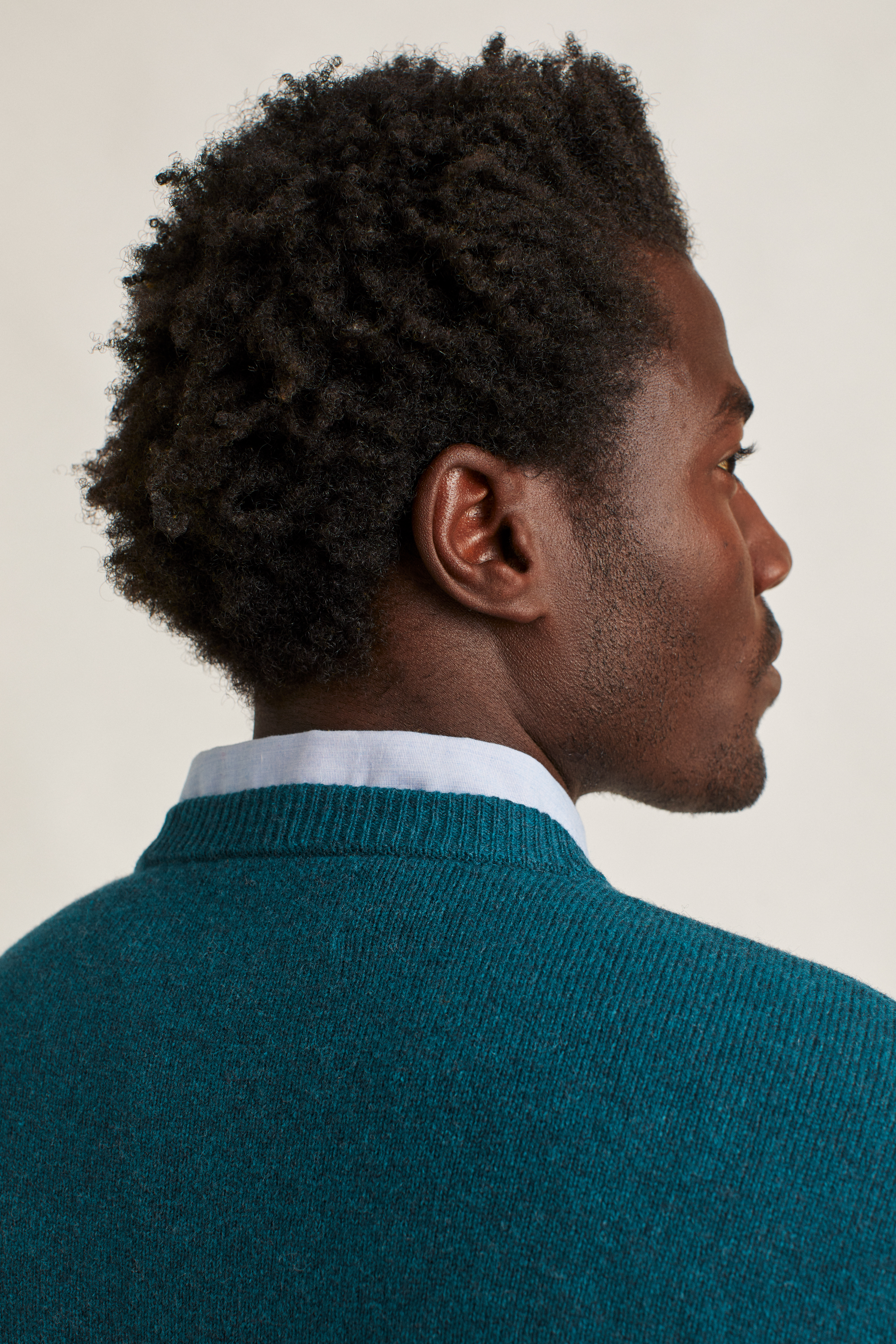 Limited Edition Sweater | Bonobos