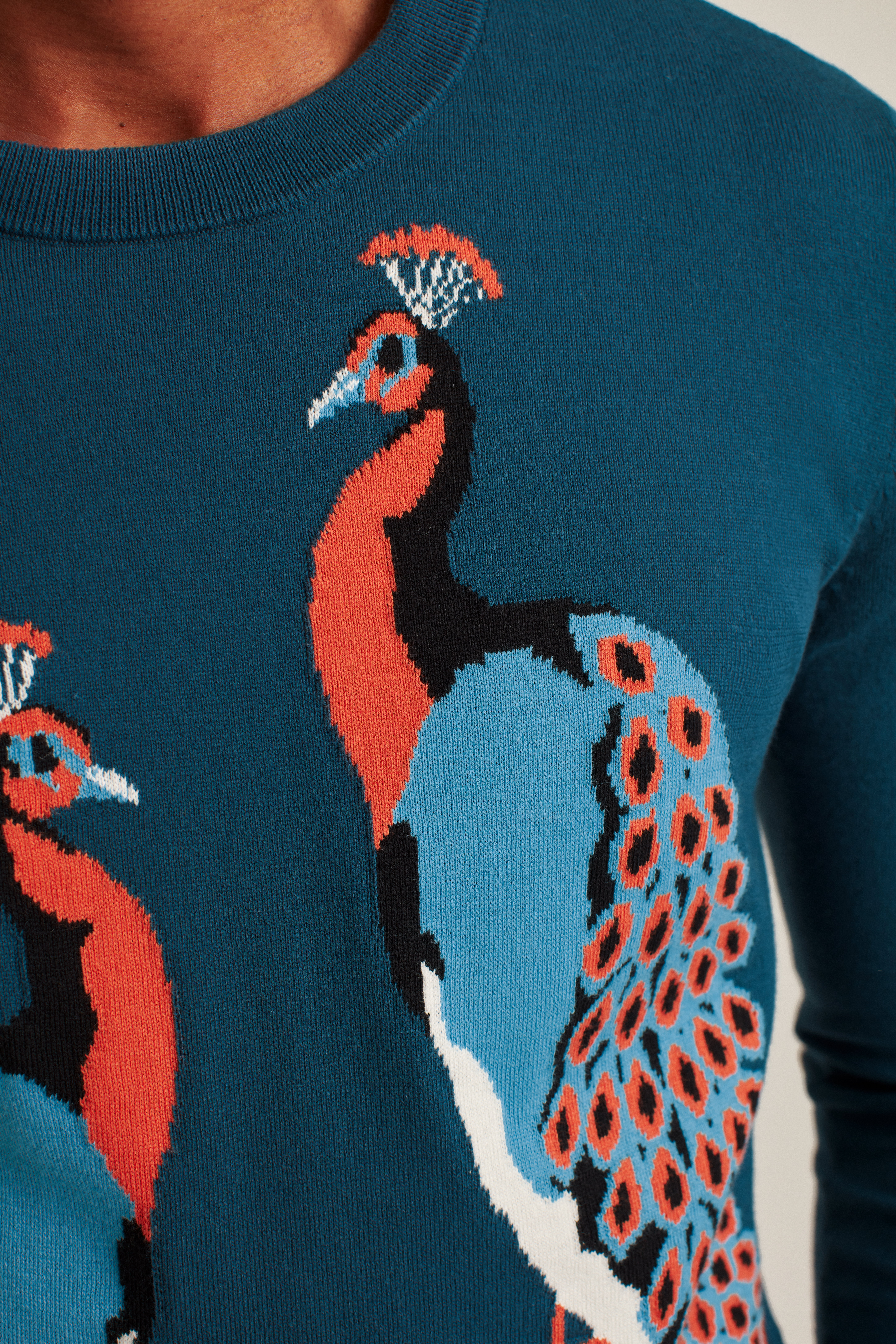 Limited Edition Sweater | Bonobos