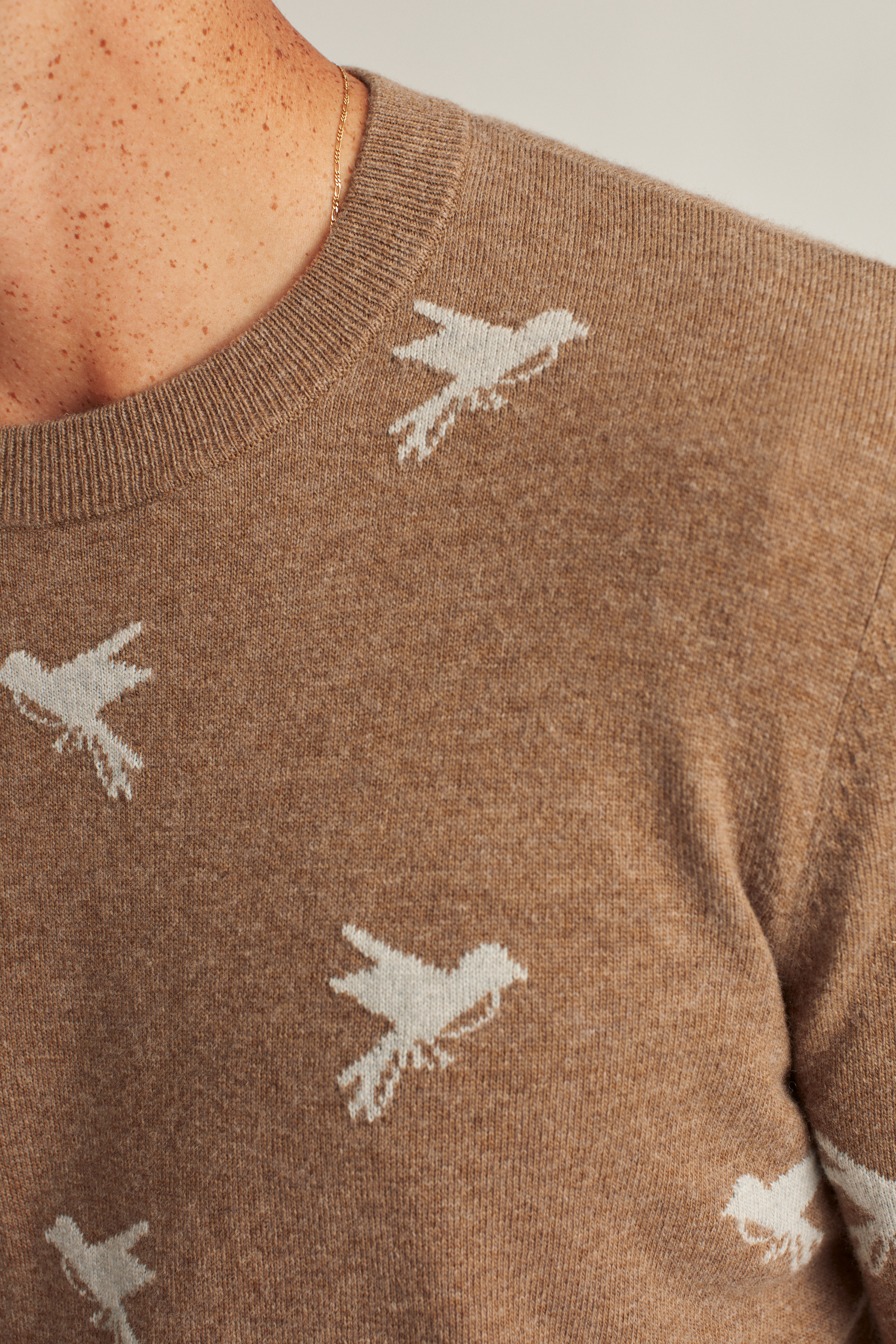 Limited Edition Sweater | Bonobos
